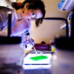 PhD at Michigan Engineering | University of Michigan College of Engineering