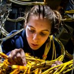 PhD at Michigan Engineering | University of Michigan College of Engineering